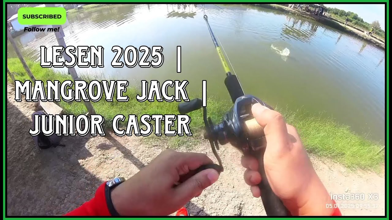 Lesen 2025 | Mangrove Jack | Junior Caster #fishing #daiwa #siakap #kaci #caster #fyp - YouTube