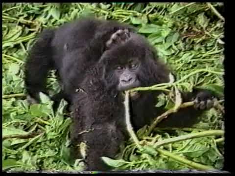 Appearance on Blue Peter with the late Caron Keating - YouTube