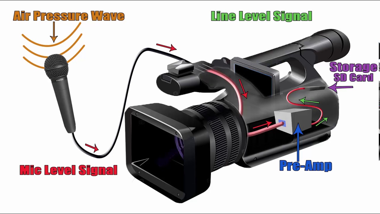 Camera Training Part 3: Audio - YouTube