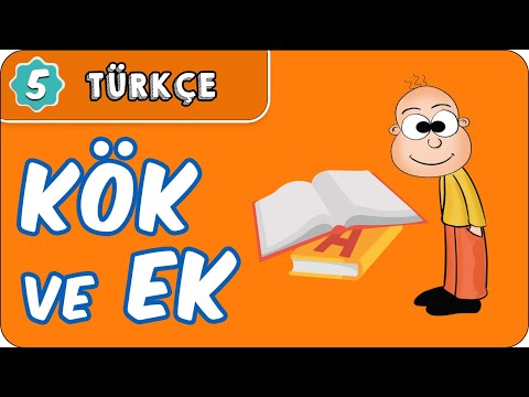 Kök ve Ek   | 5. Sınıf Türkçe evokul Kampı