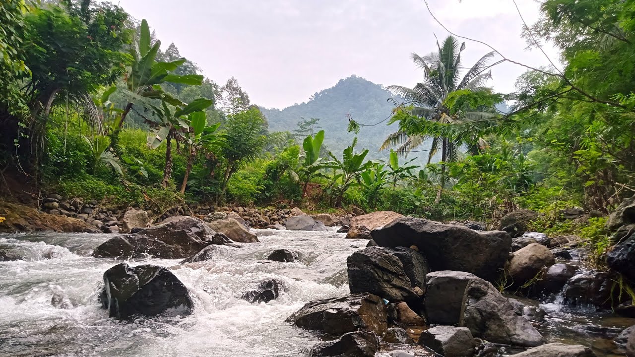 🔴 LIVE 4K Relaxing River - Ultra HD Nature Video & Birdsong Sounds ...