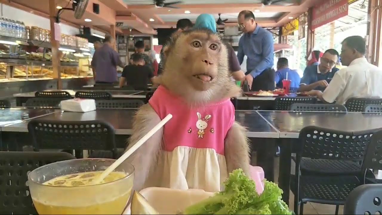 Shaki Lunch at Restauran - YouTube