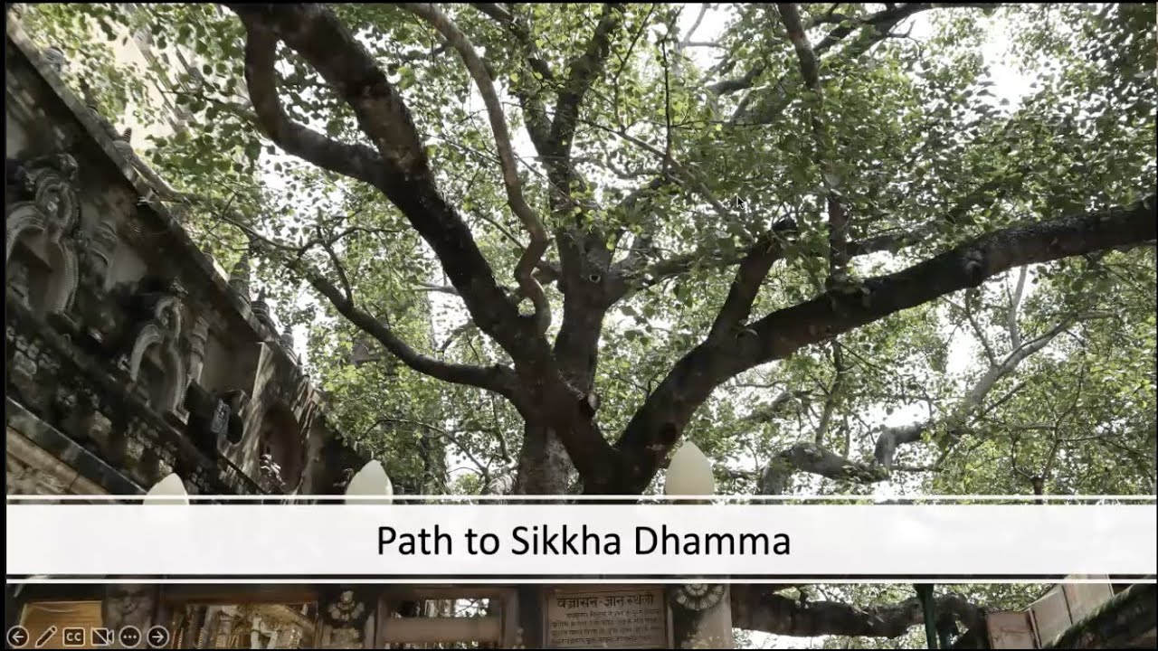 2565 12 03 Sikkha Dhamma English - YouTube
