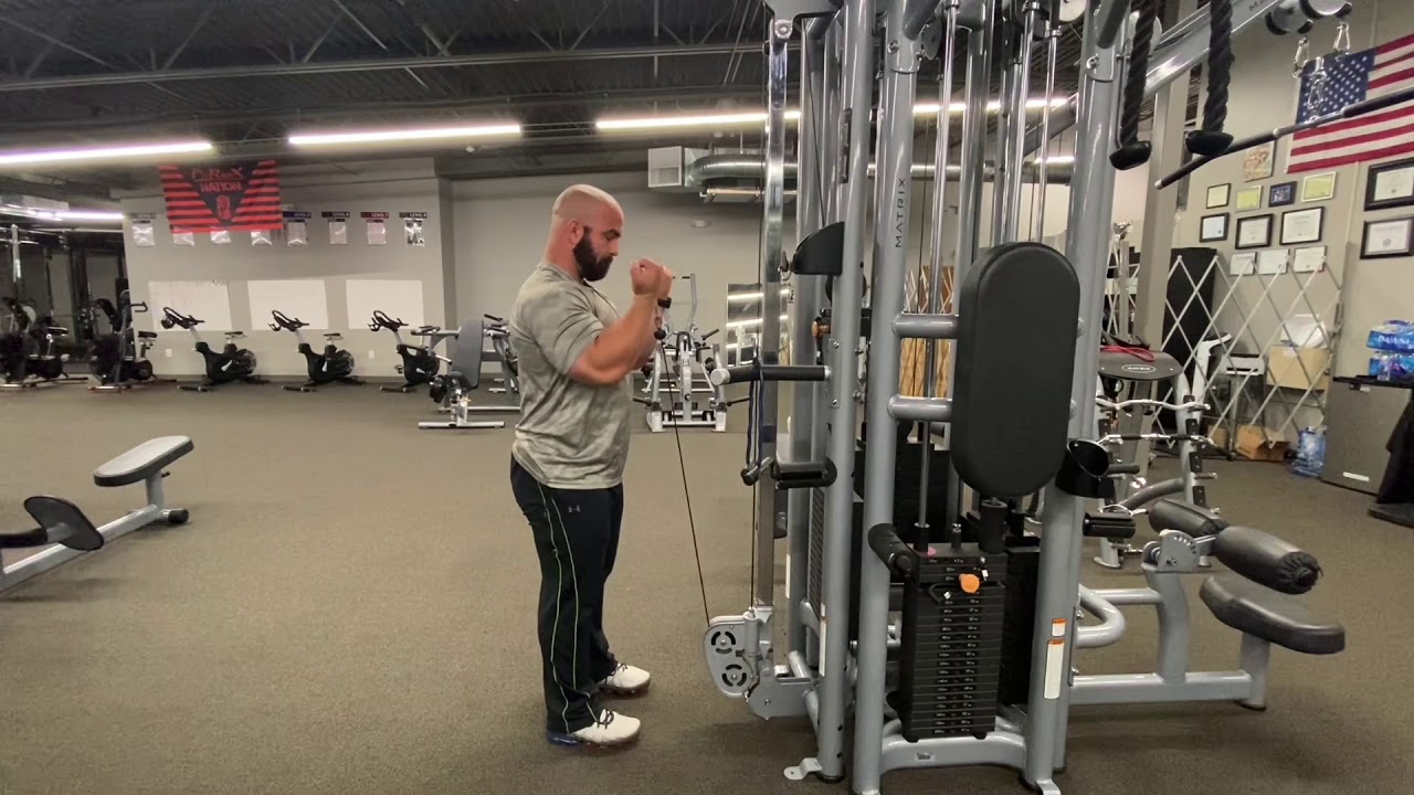 Low Cable Bicep Curl - YouTube