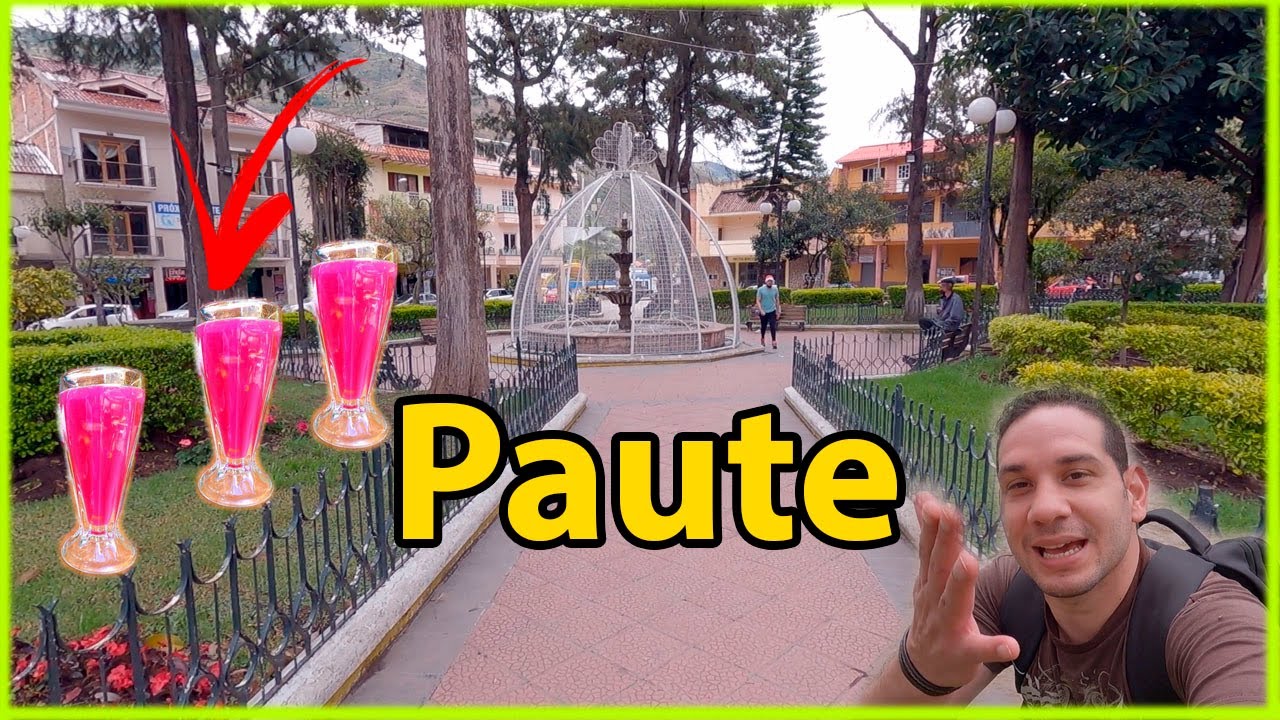 Conocí la famosa YAGUANA autentica de PAUTE. ¿Qué tal es?. Albert ...
