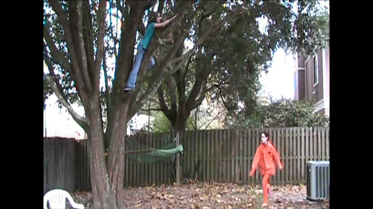Firefighter and Girl Stuck in a Tree - YouTube