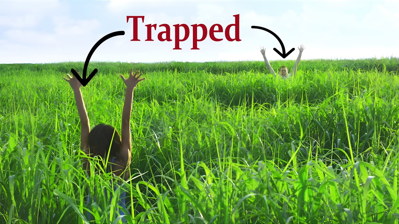 People Trapped in the Moving Field: Never Escape the Time Loop! - YouTube