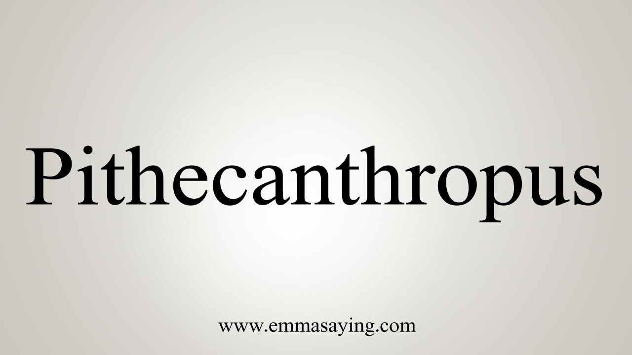 How To Say Pithecanthropus - YouTube