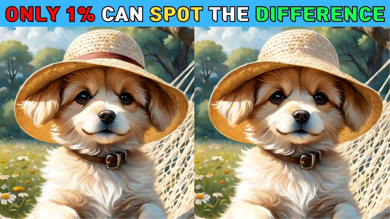Spot the difference impossible- ONLY 1% Of People Can Spot The ...