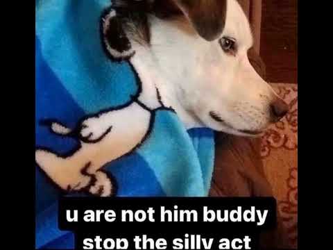 About a girl (bad Nirvana cover)