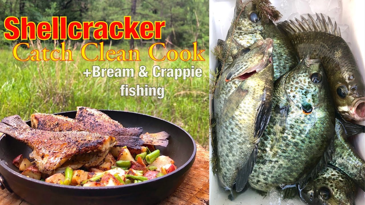 Crappie and Shellcracker Fishing | Catch Clean Cook - YouTube