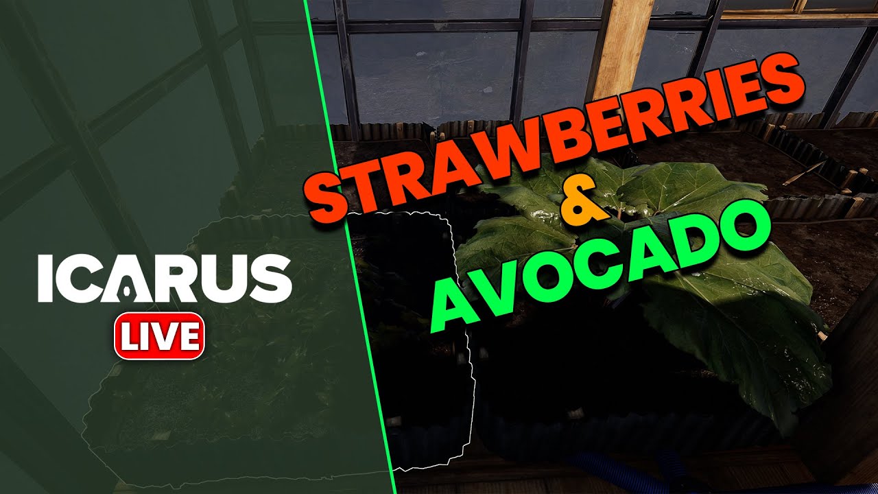 WEEK 71 - New Foods In ICARUS | Strawberries, Avocados - All New ...