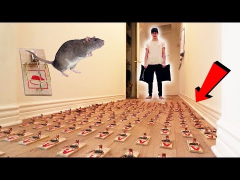 INSANE MOUSETRAP PRANK ON ROOMMATE | (revenge...) | Sam Golbach
