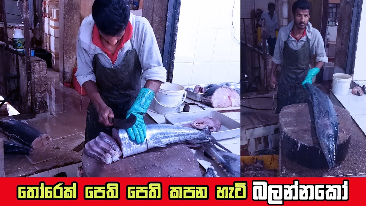 Seer Fish | Slicing Fish | (Thora) Fastest Fish Cutting Skills | Fish ...