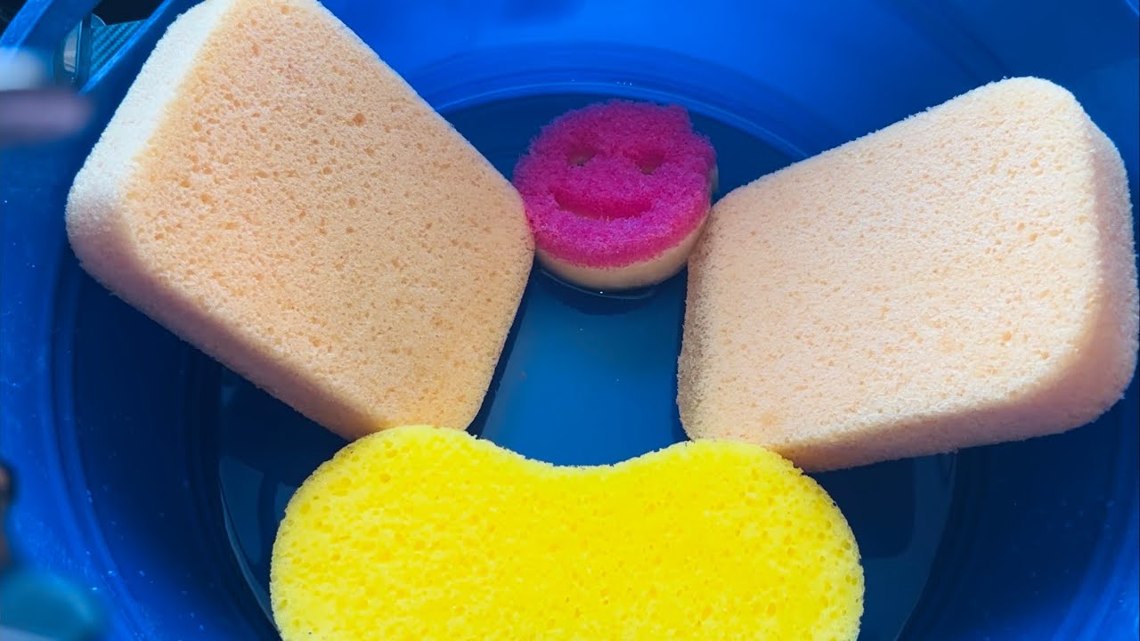 😎 Sponge Pool Party 😎 Satisfying ASMR Video| Sponge Squeezes 💕 - YouTube