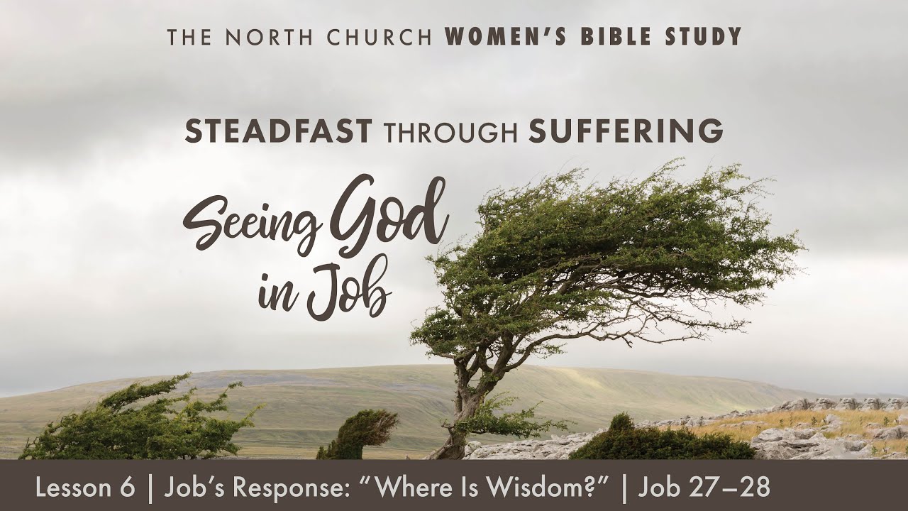 Job Lesson 6 | Where is Wisdom? | Job 27–28 | Dr. Brian Tabb 3.13.24 ...