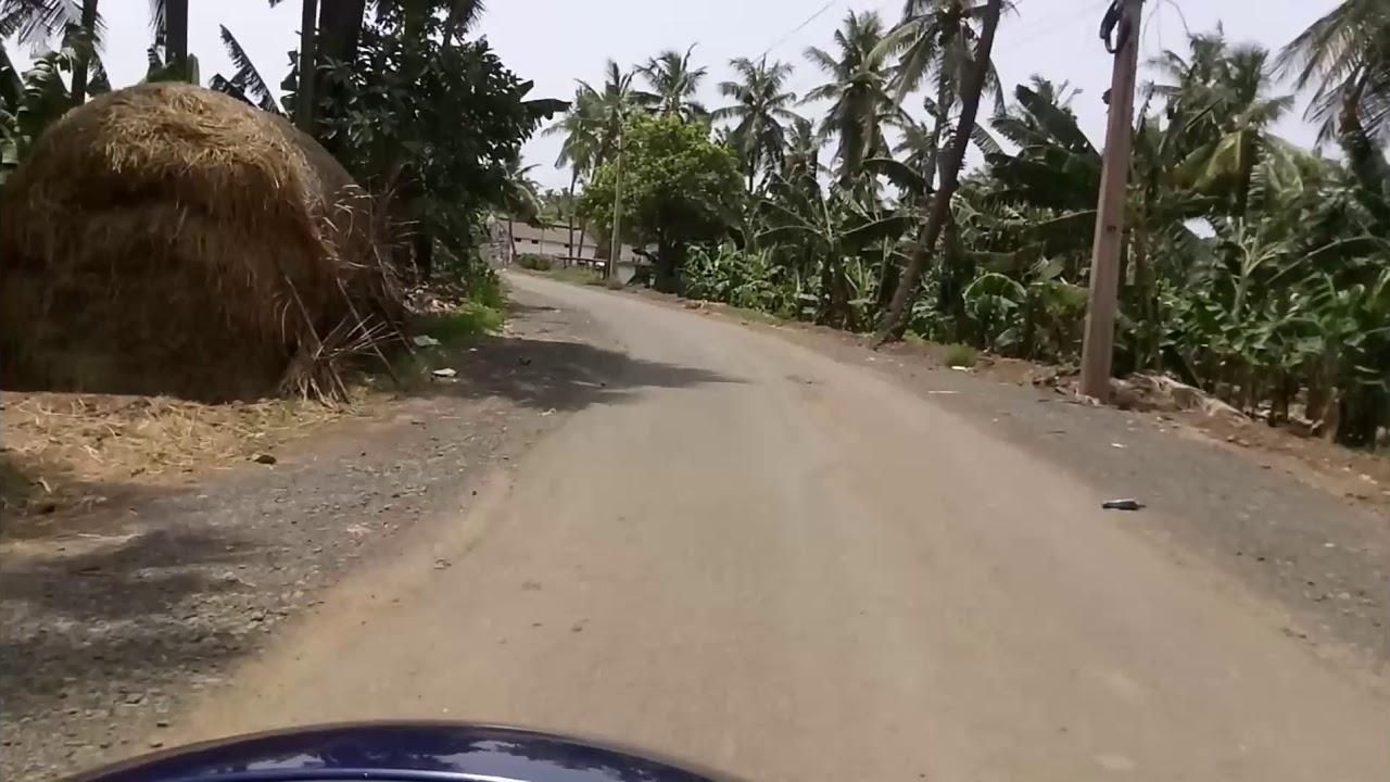 RoadSide View Ryali to Ravulapalem with full greenary - YouTube