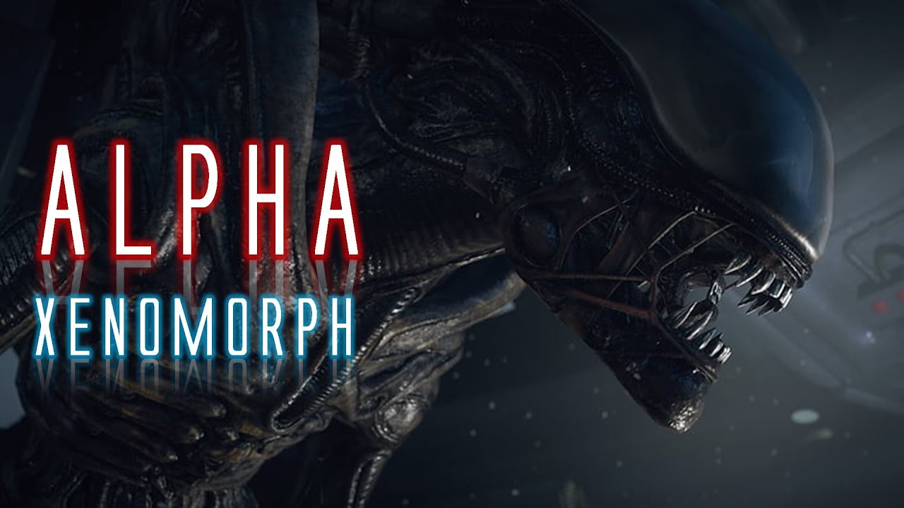 The New Deadly Alpha Xenomorph Explained - YouTube