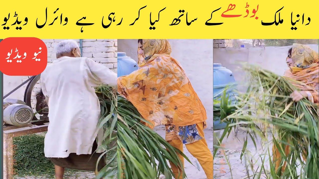 Dania Malik New Viral video 2022 | Dania Baba k Sat Gass Kat rhi hai ...