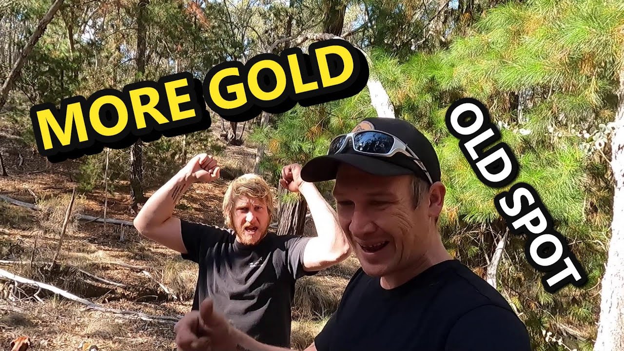 Returning To An Old GOLD Patch! - How Much Did We Miss? - YouTube