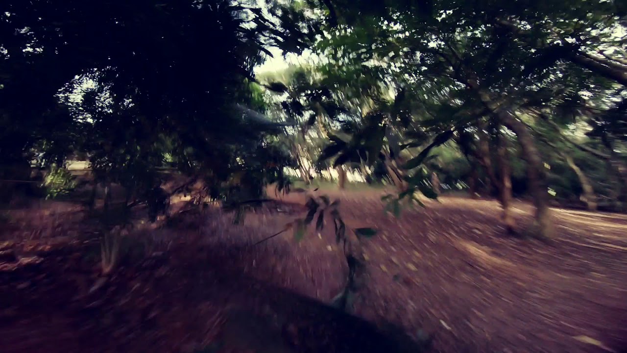 Devil Forest FPV - YouTube