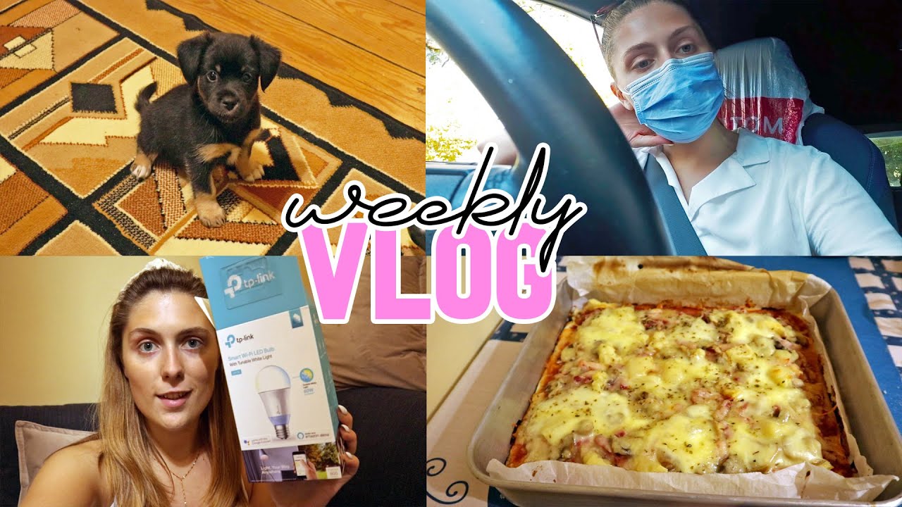WEEKLY VLOG - Zoey, Condução, Decoração e Comida! - YouTube