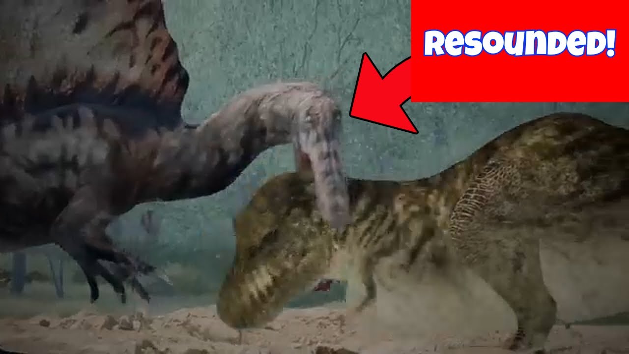 T rex vs Spinosaurus (Resounded!) - YouTube