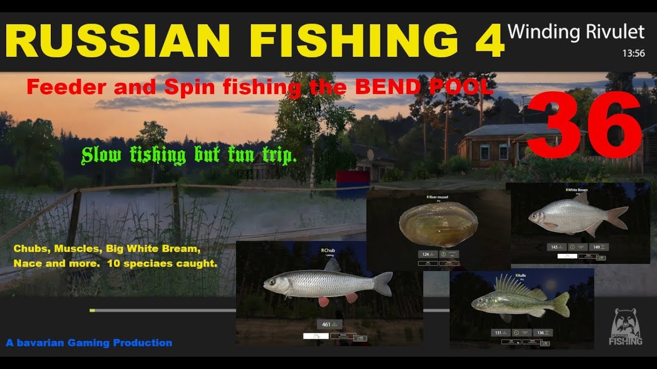 RUSSIAN FISHING 4 - 36 - Winding Rivulet - FISHING THE DEEP BEND POOL ...