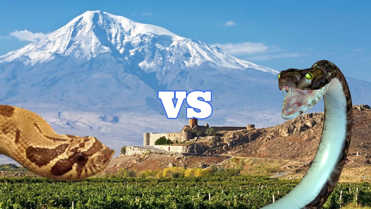 Titanoboa vs Gigantophis Cenozoic Rumble Fights - SPORE - YouTube