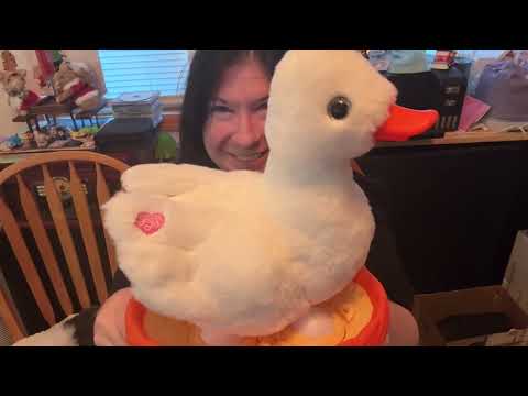 Pets Alive Mama Duck!!!! - YouTube