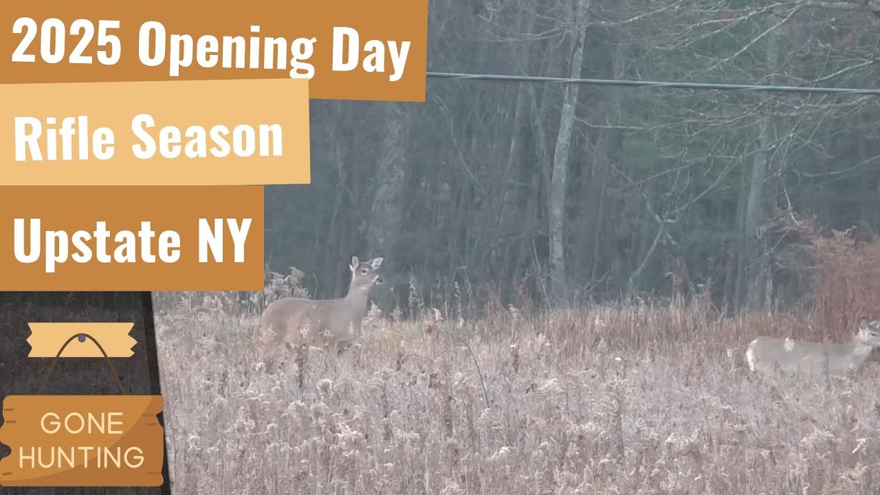 Opening Day Rifle Season 2025 | Upstate NY Deer Hunt (Day 1 & 2) - YouTube