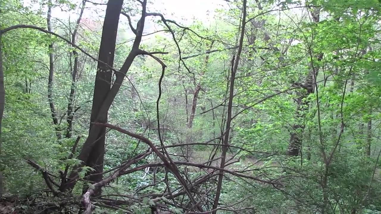 VEDIM 4 (9) - YouTube