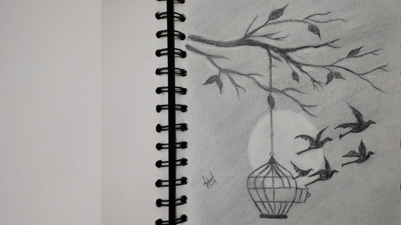 How to Easily Draw a Bird Cage || Bird Cage Drawing || Sketching for ...