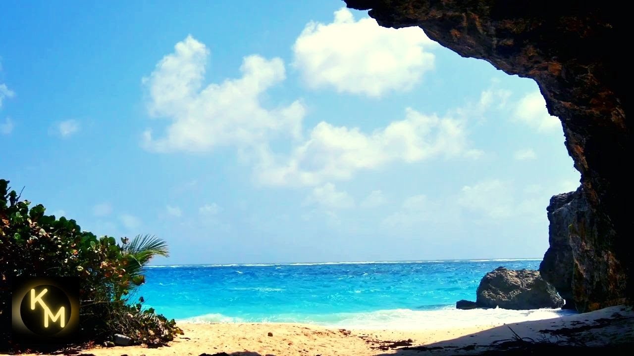 🌴🎶TROPICAL TUESDAY! Paradise Exposed: The Enchanting Beach Cave Oasis ...