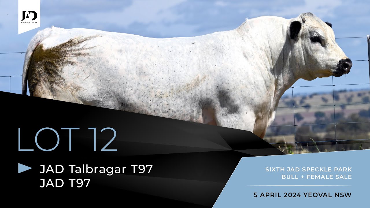 Lot 12: JAD Talbragar T97 (JAD T97) - YouTube