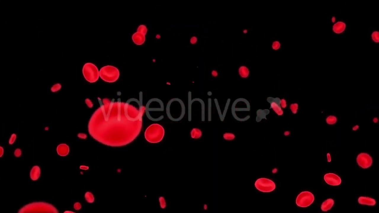 Blood | Motion Graphics - Videohive template - YouTube
