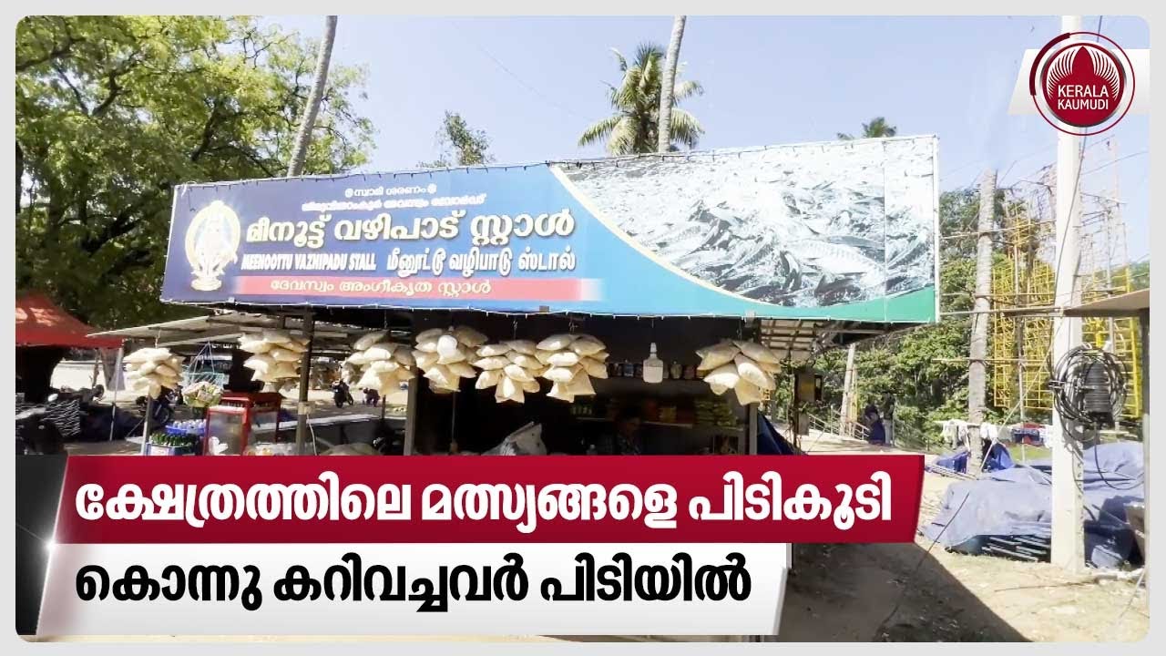 ക്ഷേത്രത്തിലെ മത്സ്യങ്ങളെ പിടികൂടി കൊന്നു കറിവച്ചവര്‍ പിടിയില് ...