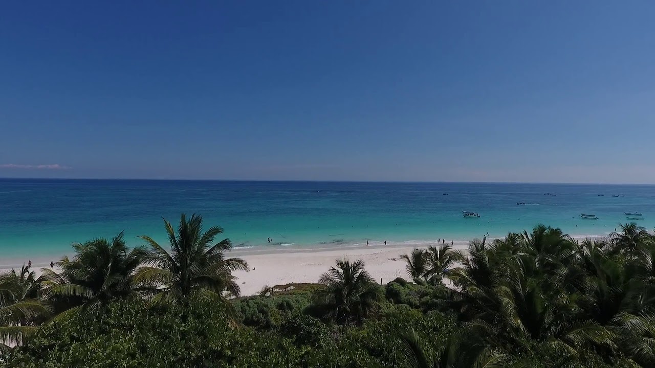 Isla con mar celeste y palmeras, solo para turistas - YouTube