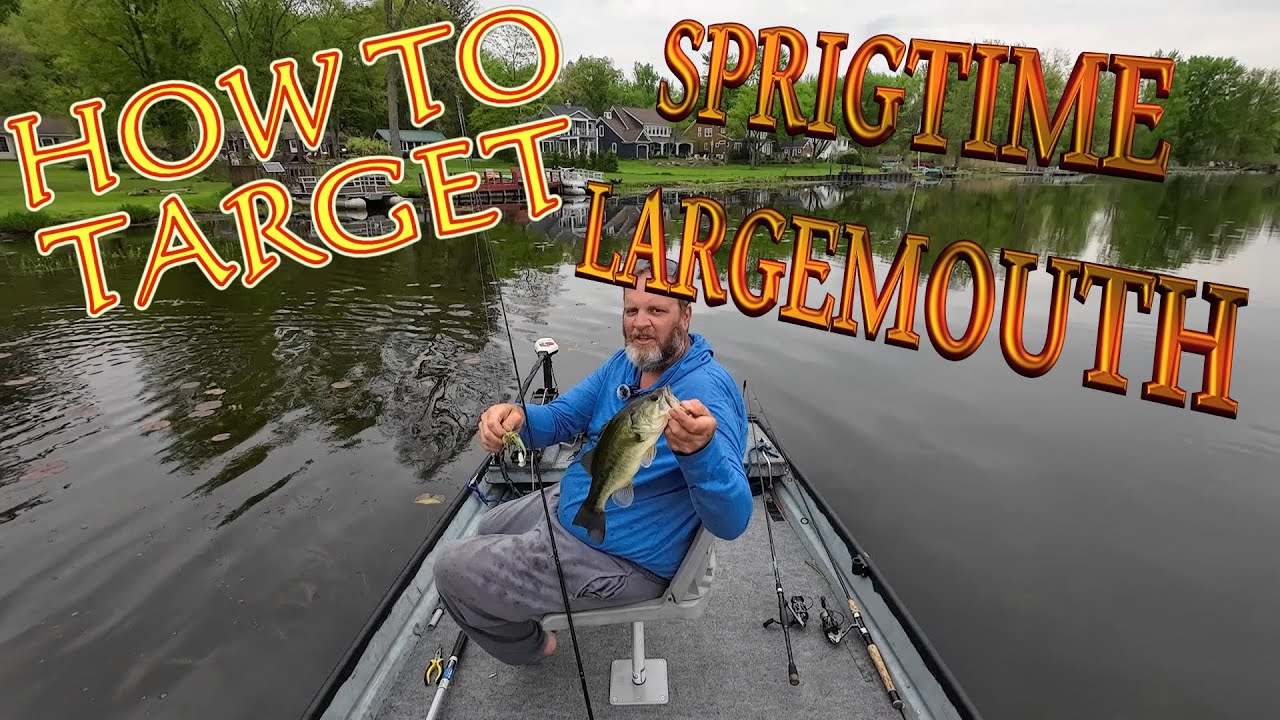 Power Fishing for Largemouth Bass with Chatterbaits, Spinnerbaits ...