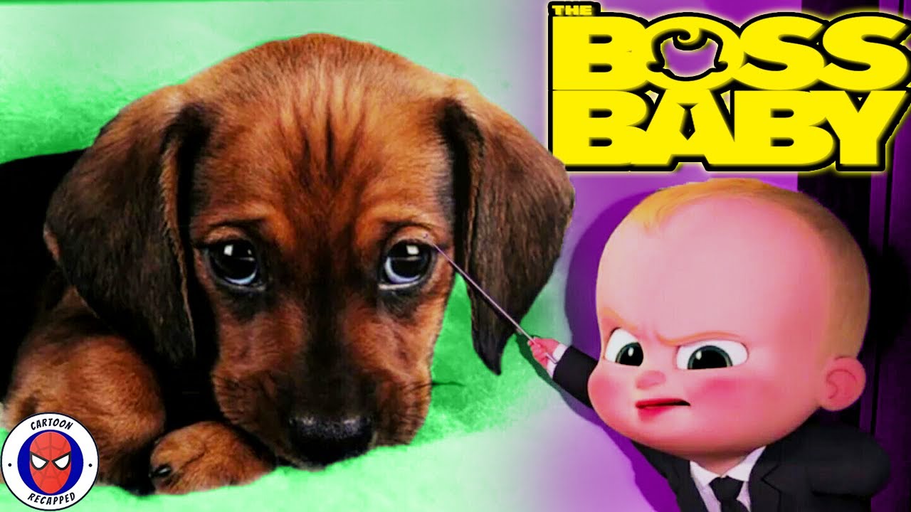 Movie Recap: Puppies Are Real Danger For Babies! The Boss Baby Movie ...