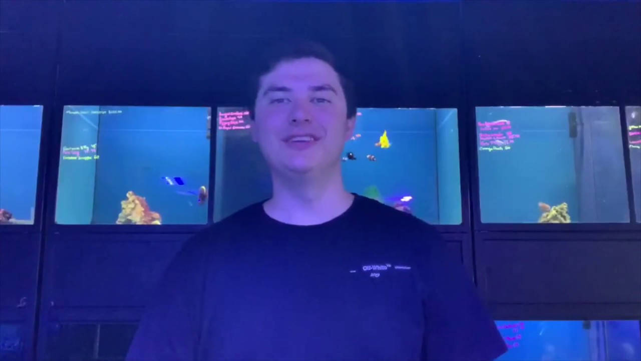 Weekend Arrivals! 07/10/2020 - YouTube