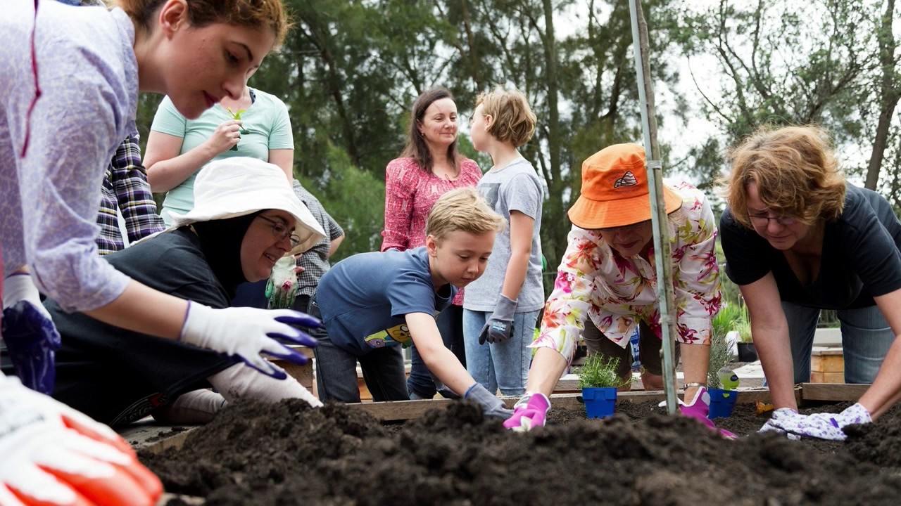 Fertile Common Ground | Judith Friedlander ...