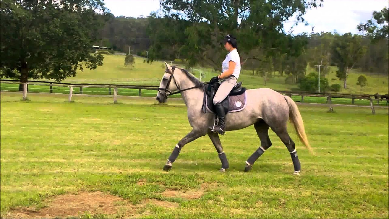 Amity Flatwork - YouTube