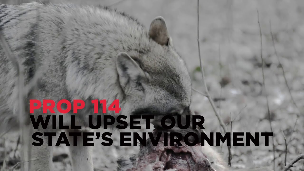 Vote NO on Prop 114 - YouTube
