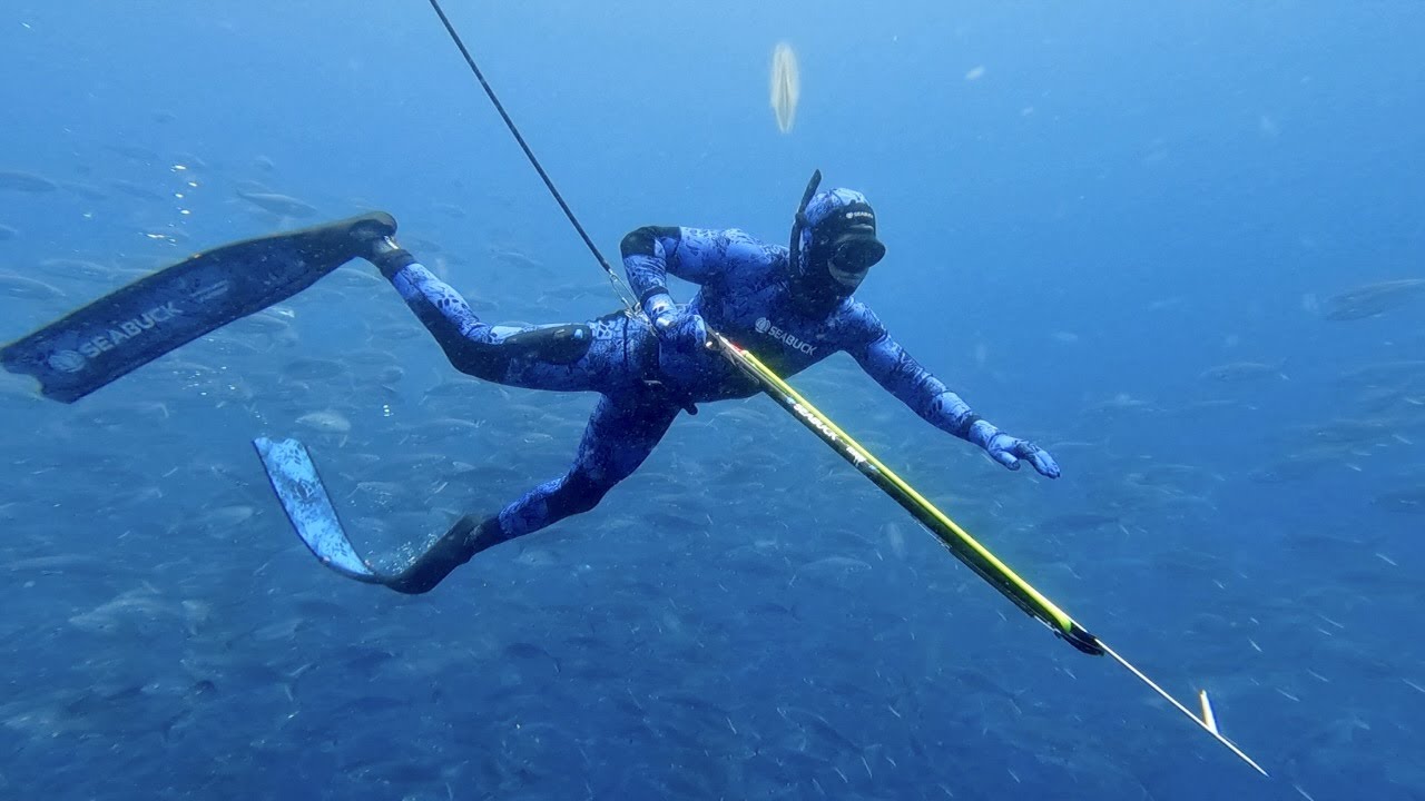 Spearfishing and Freediving the Alderman Islands New Zealand ...