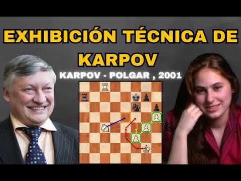 KARPOV MUESTRA SU FINA TÉCNICA FRENTE A POLGAR : KARPOV - POLGAR , 2001 ...