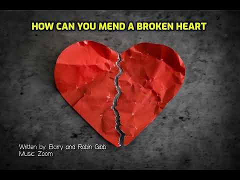 How Can You Mend A Broken Heart - Cover by TN - YouTube