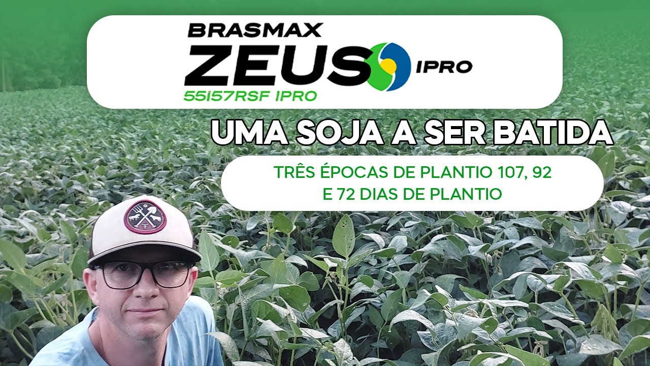 Brasmax ZEUS a Soja a ser Batida - emTrês épocas de Plantio 107, 92 e ...