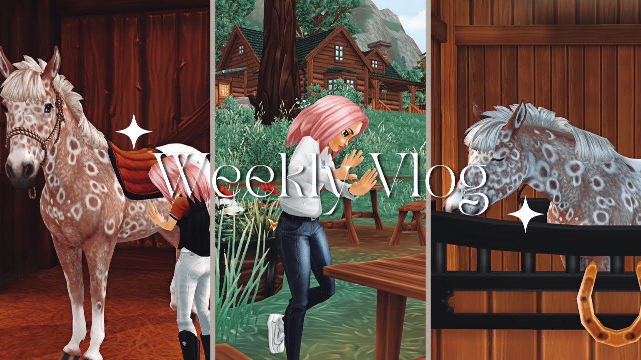 🍃productive school week🍃 getting exam ready, registering for projects ...