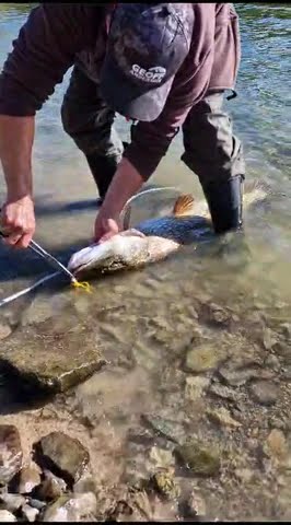 Vertical fishing - YouTube